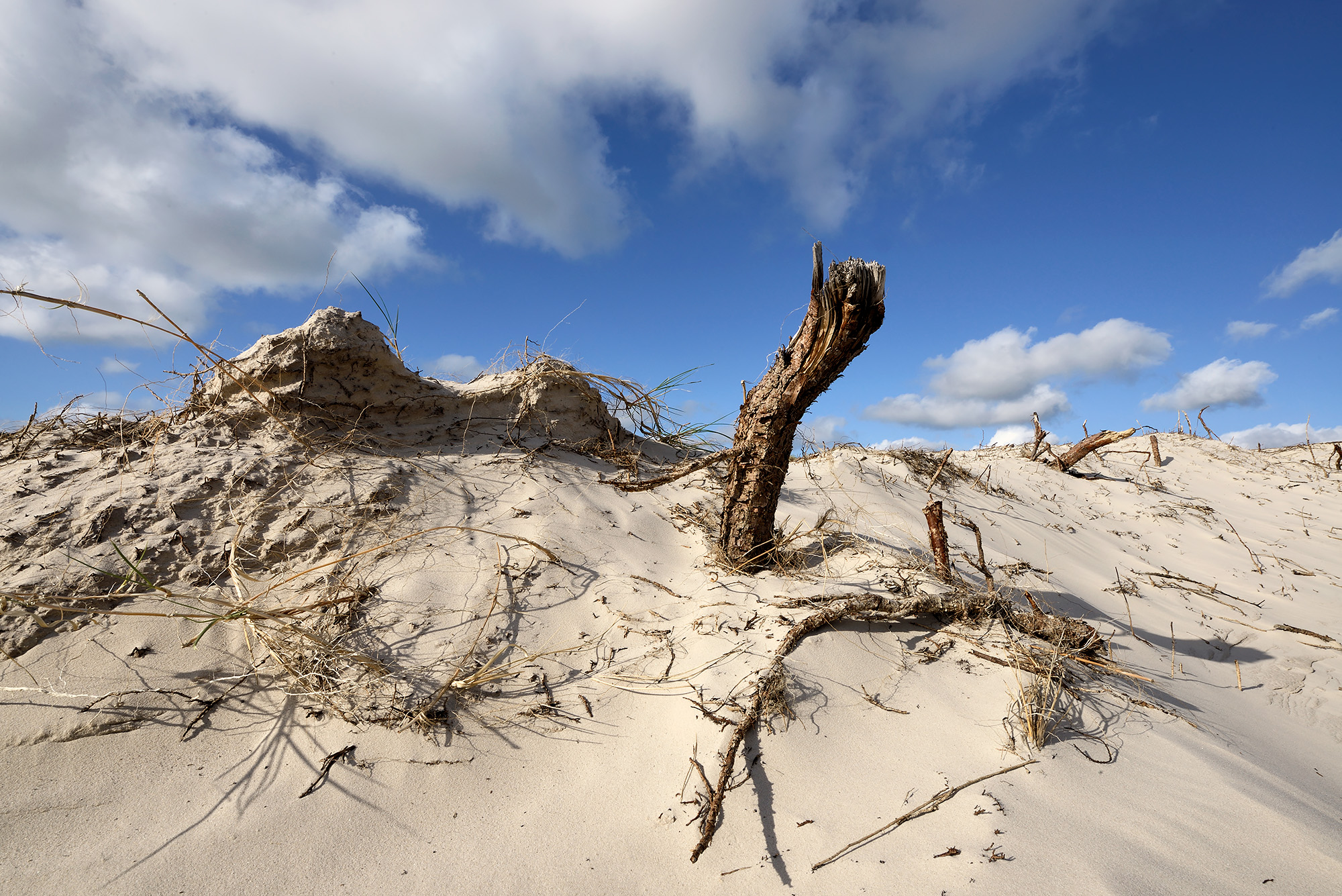 Bezienswaardigheden - Noord-Hollandse Duinen